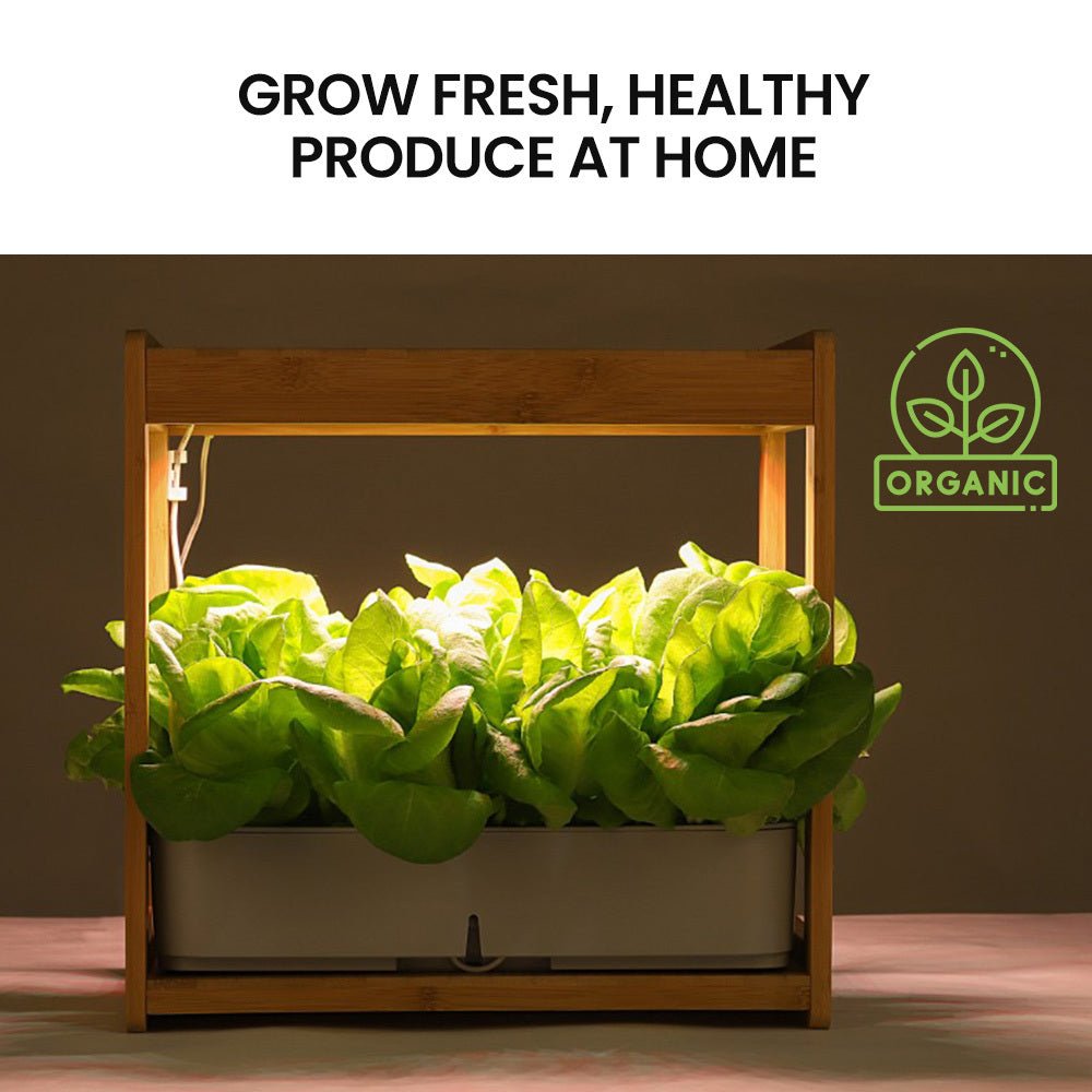 PLANTCRAFT 12 Pod Indoor Hydroponic Growing System with Bamboo Frame ...